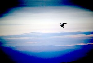 La práctica del Zen - Fundación Zen de Colombia